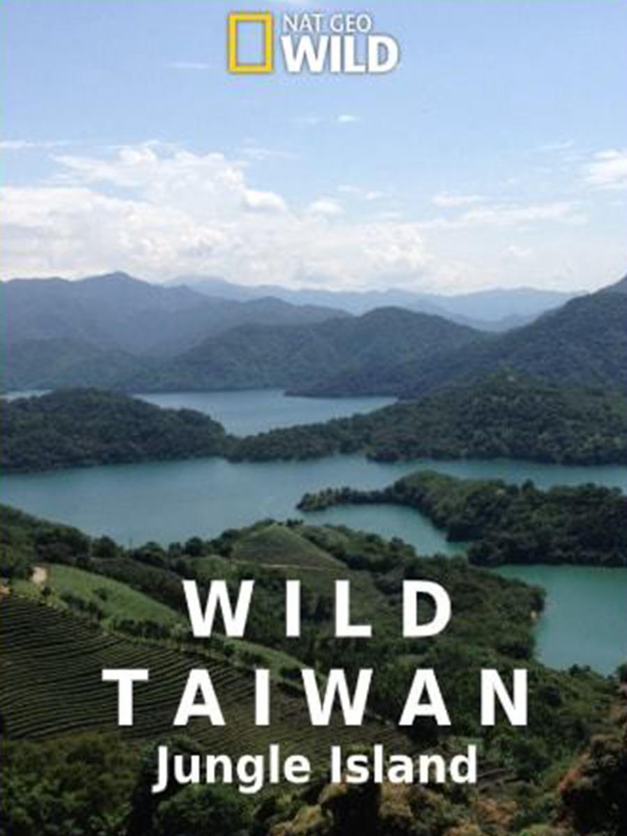 Sección visual de Esto es Taiwan, la isla de la selva - FilmAffinity