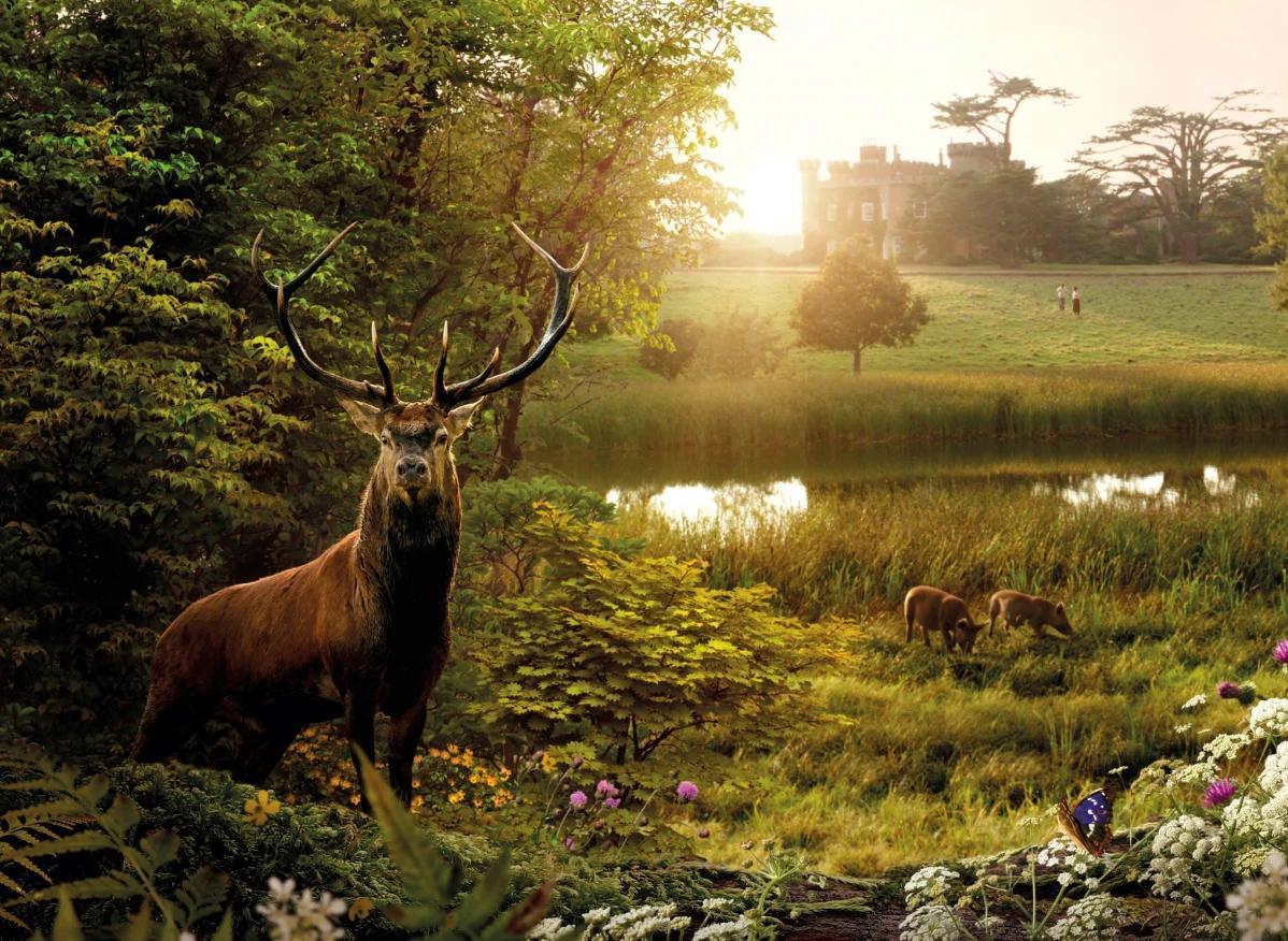 Image gallery for Wilding - FilmAffinity