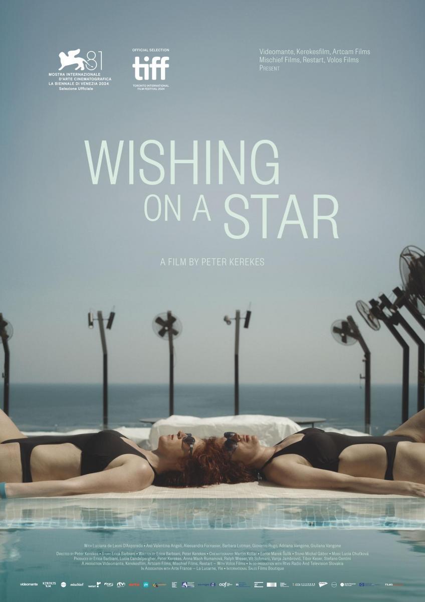 Wishing on a Star (2024) - FilmAffinity