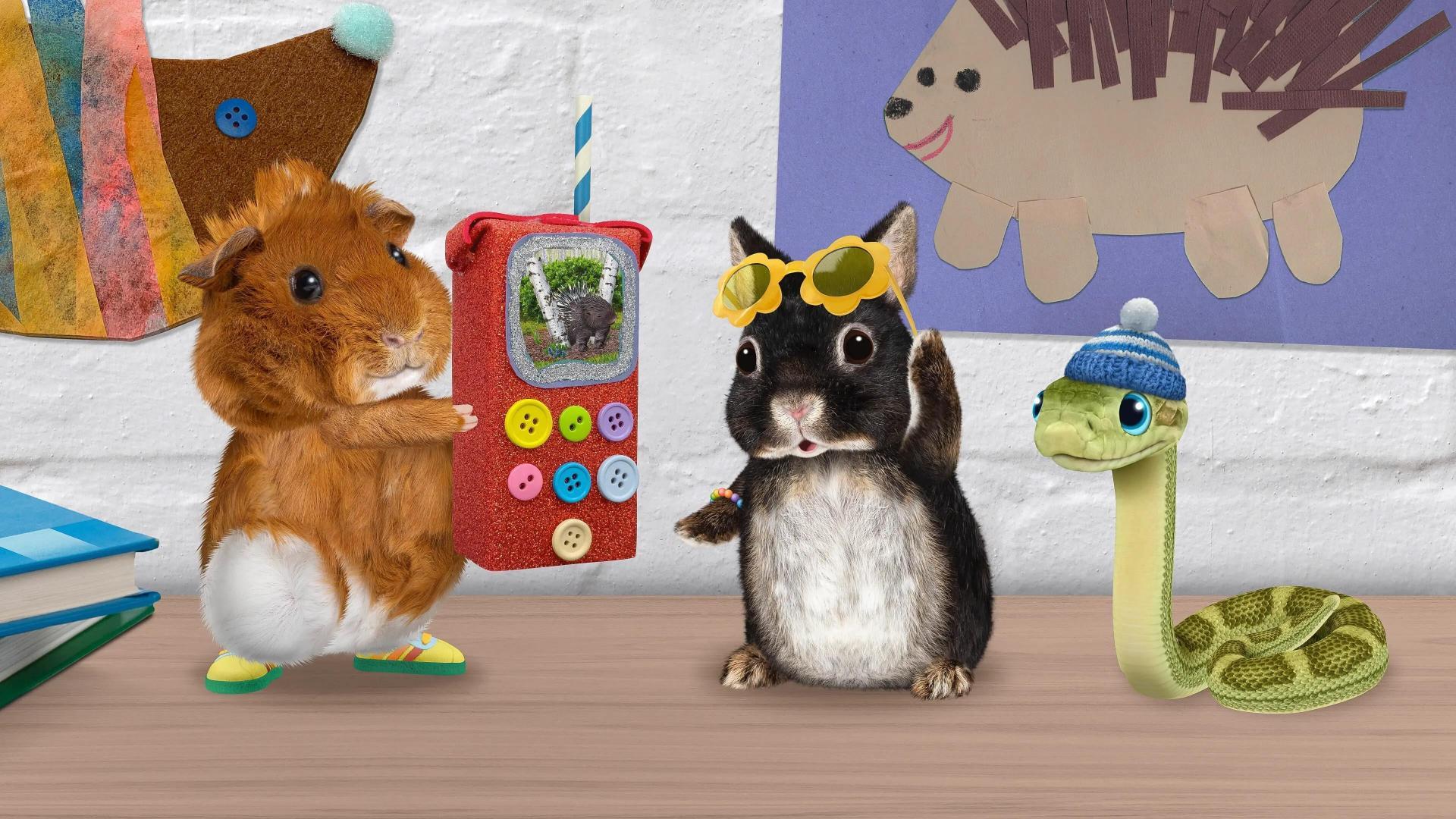 Sección visual de Wonder Pets en la ciudad (Serie de TV) - FilmAffinity