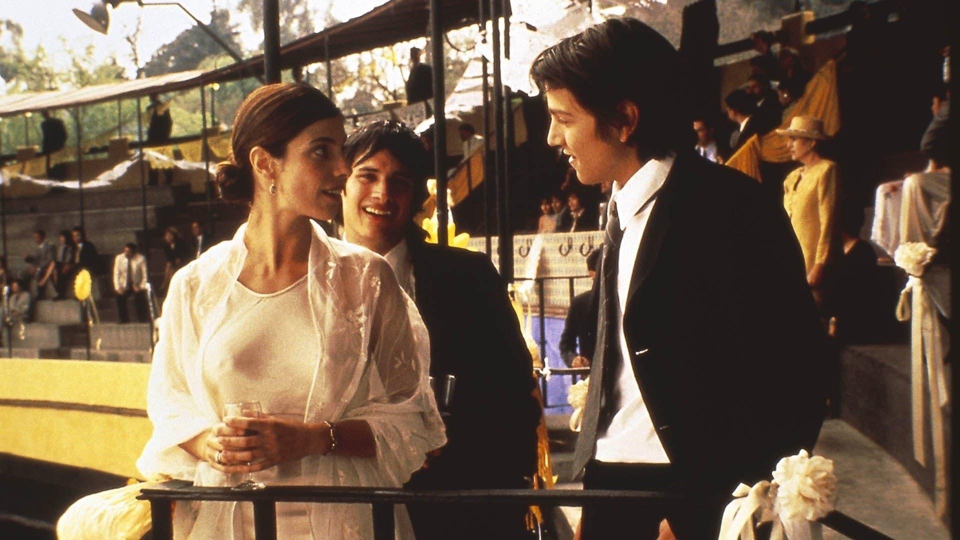 Sección visual de Y tu mamá también - FilmAffinity