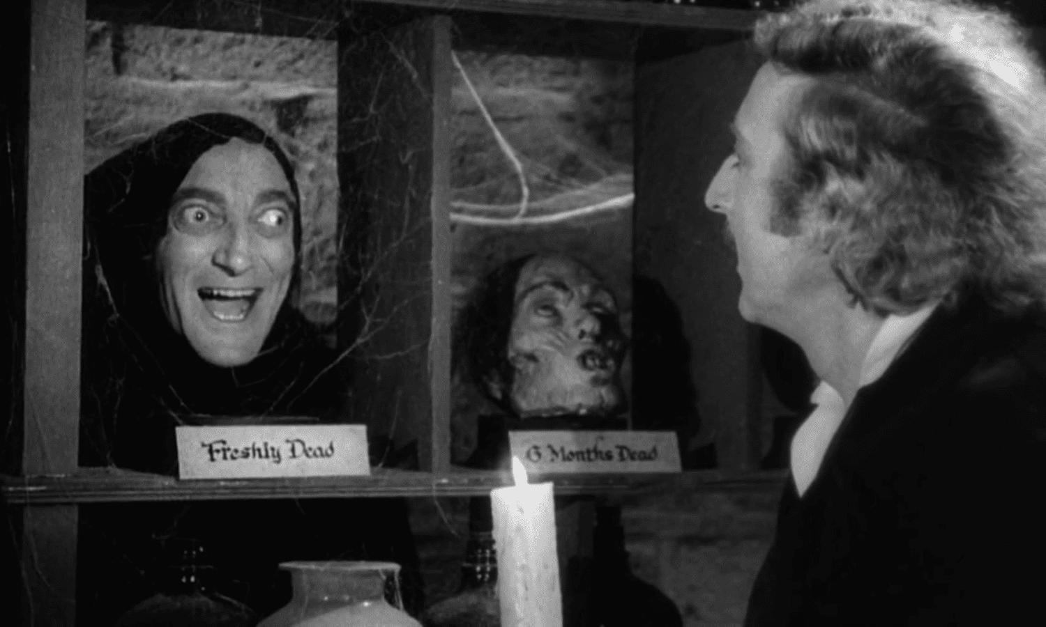 Image gallery for Young Frankenstein - FilmAffinity