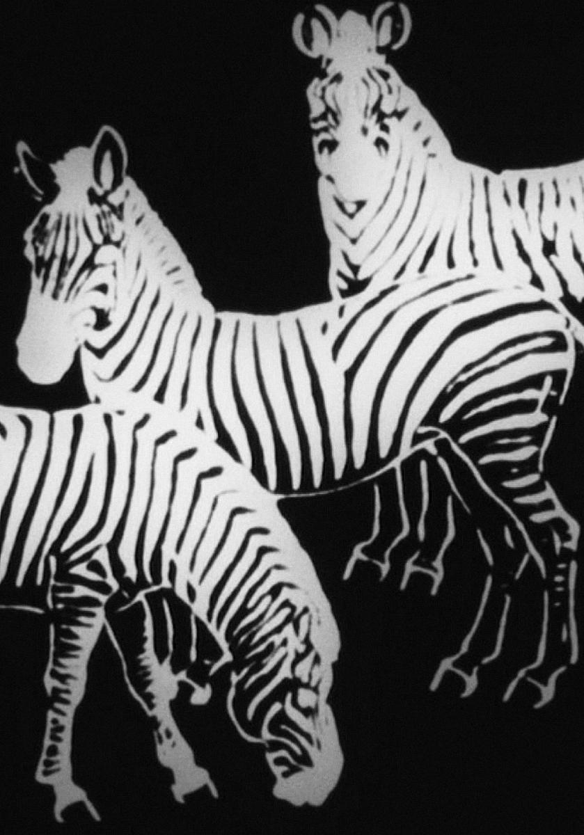 Zebra (S) (1973) - FilmAffinity